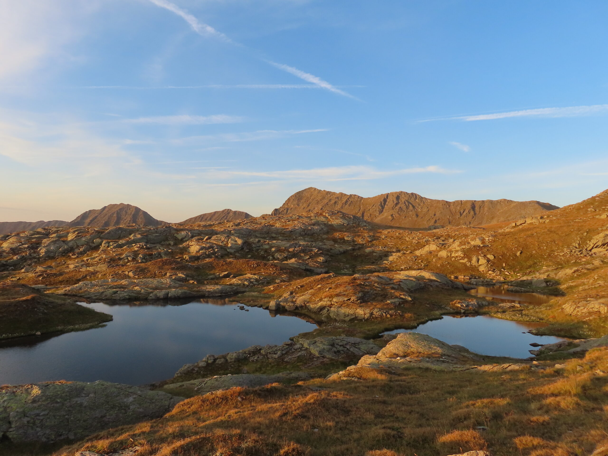 Thomas Behm – thomasbehm.at